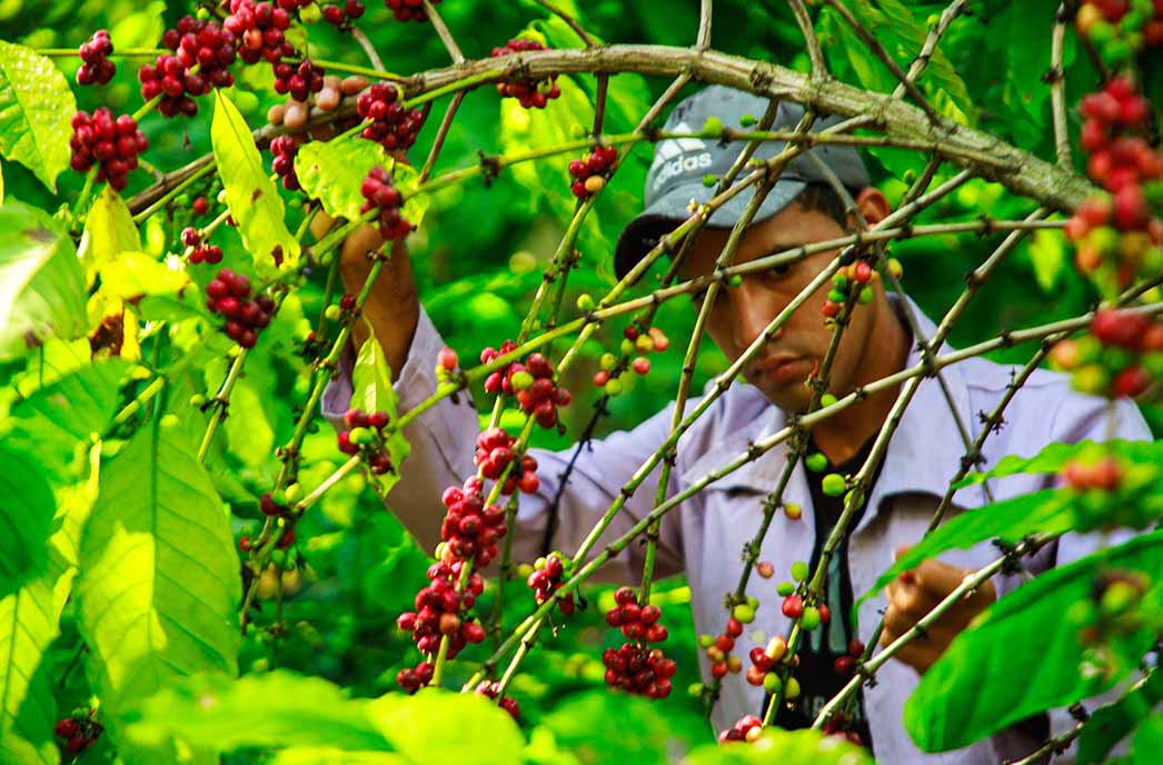 Projects for Cuba: a long-term, tangible commitment | Lavazza