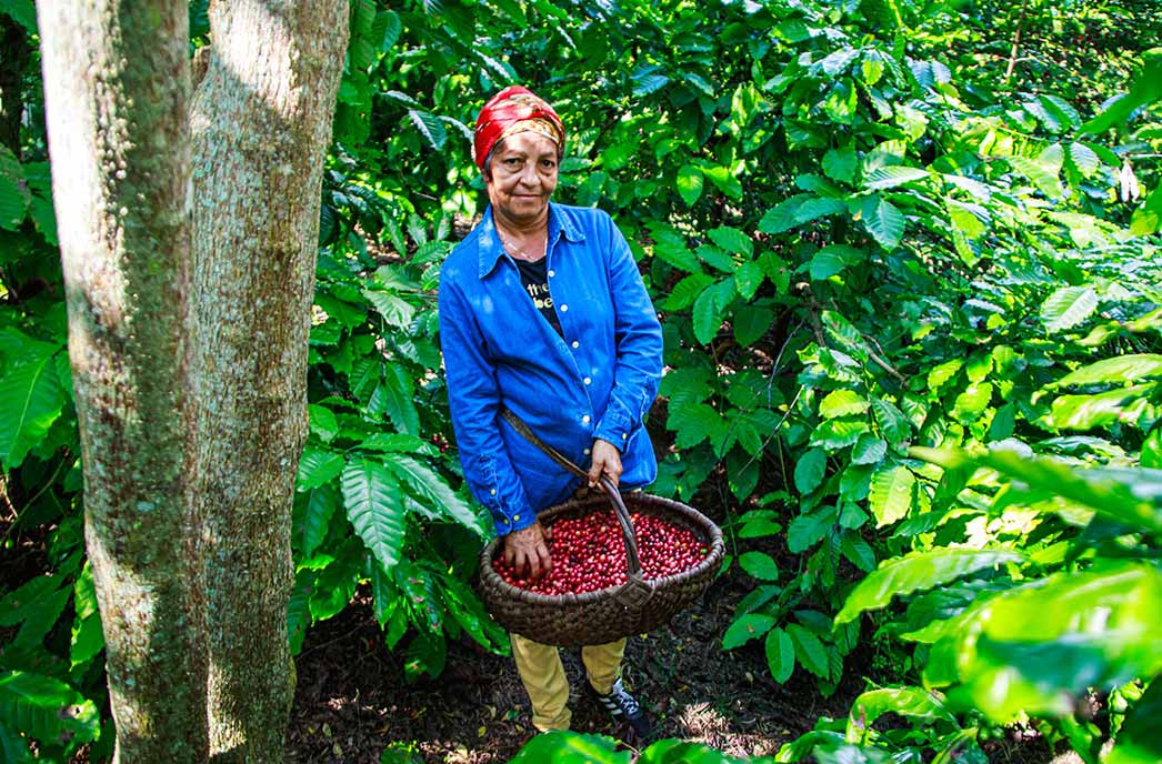 Projects for Cuba: a long-term, tangible commitment | Lavazza