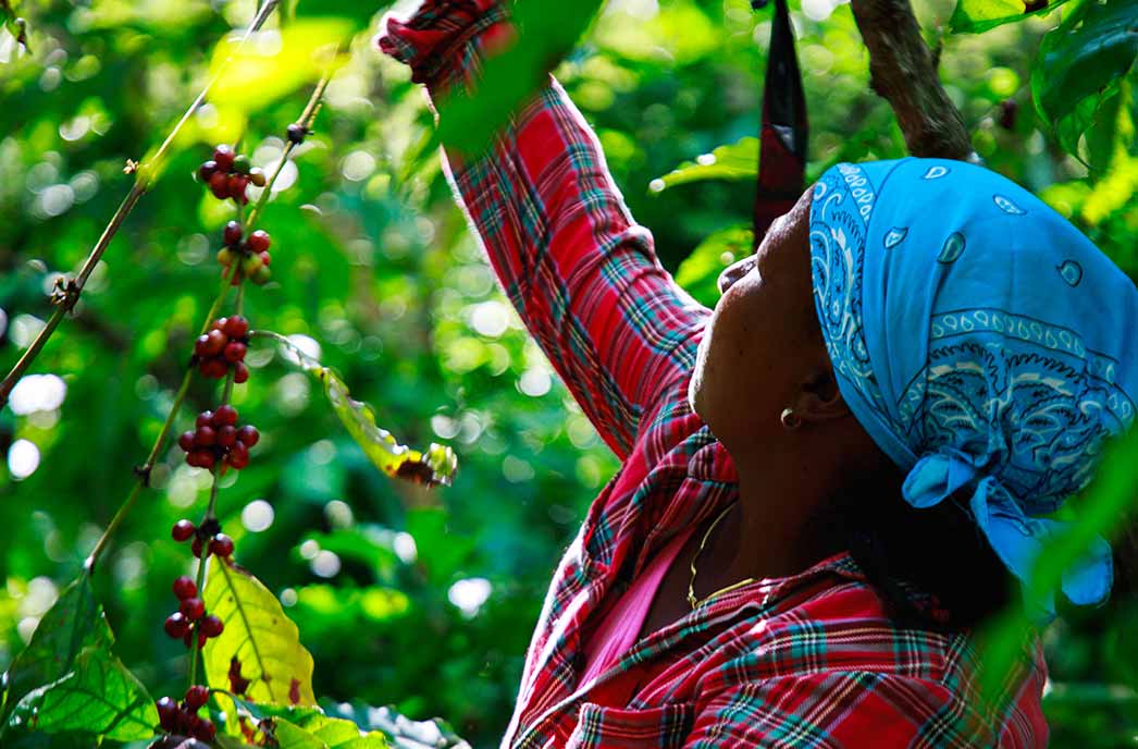 Projects for Cuba: a long-term, tangible commitment | Lavazza